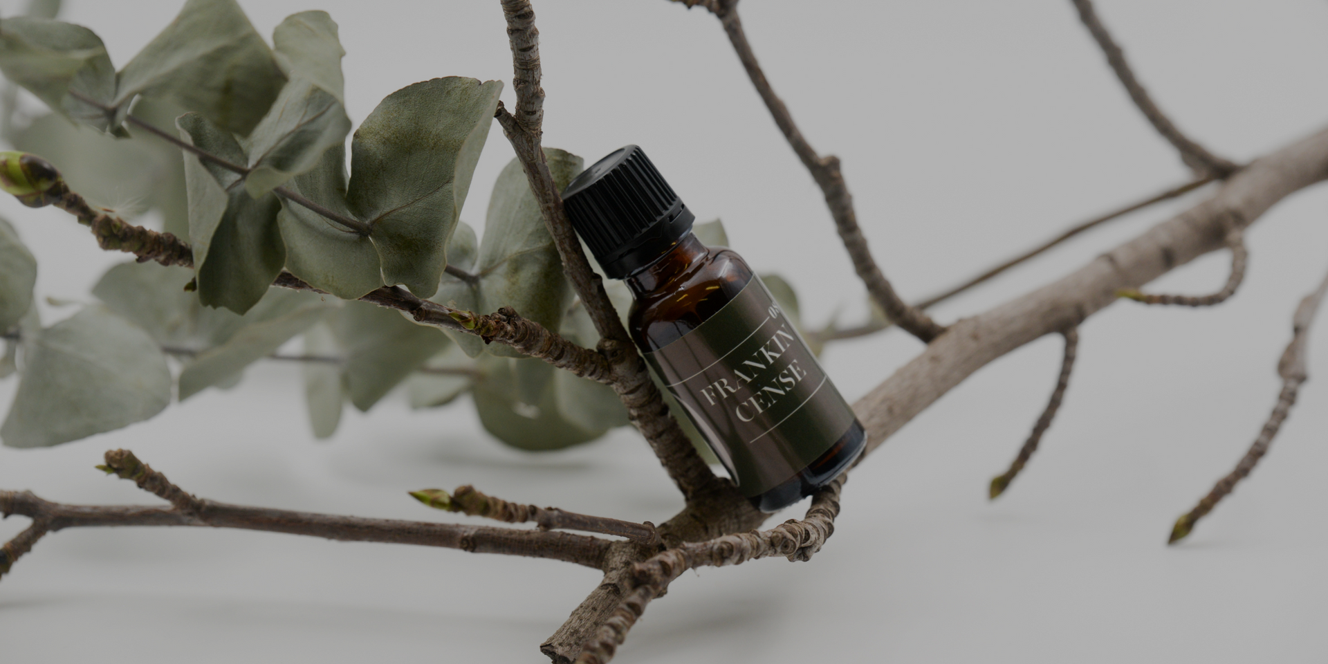 Bright Packaging & Raw Materials SA – Bright Packaging and Raw Materials