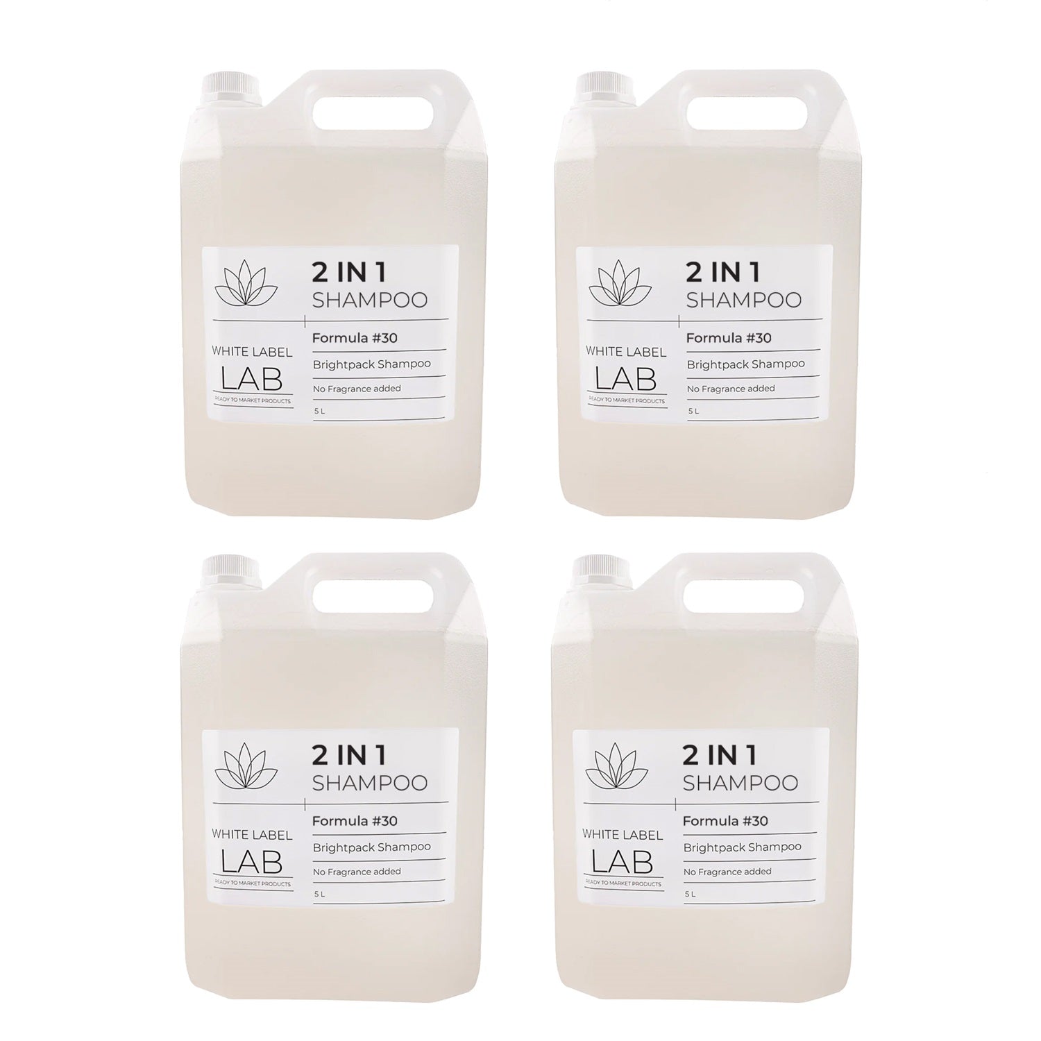 Brightpack 2-in-1 Shampoo with Conditioner (White Label Lab) – Bright ...