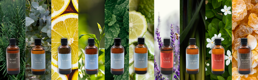 Bright Packaging & Raw Materials SA – Bright Packaging and Raw Materials